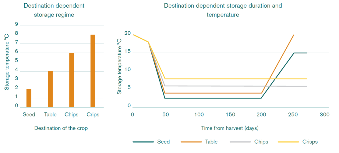 Potato storage temperature regime