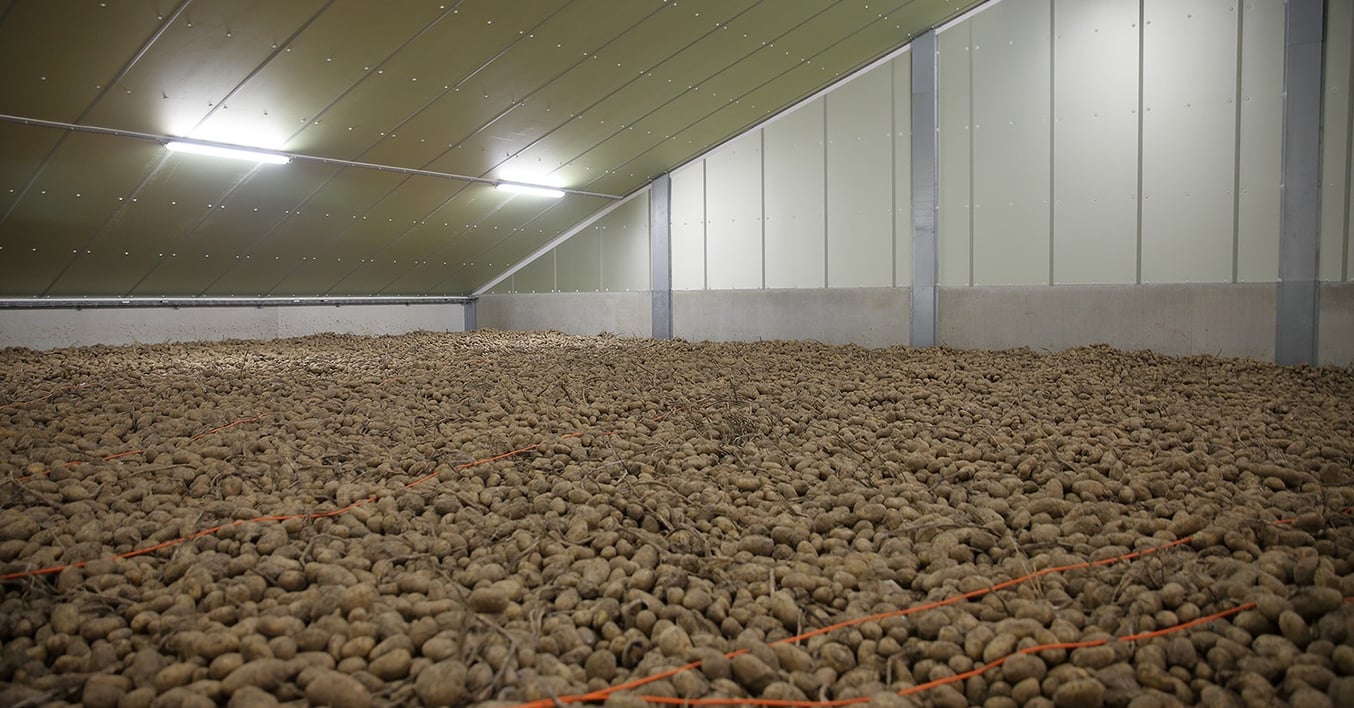 The role of storage in the potato economy