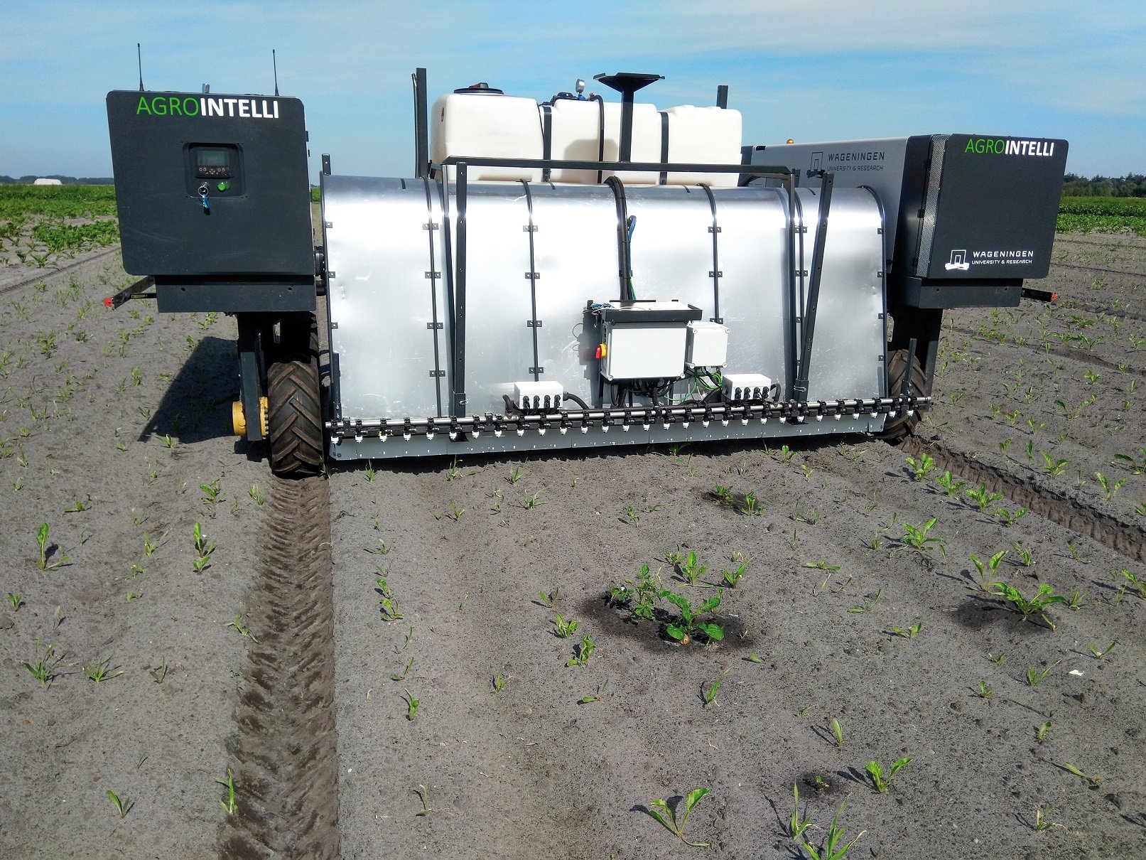 The World of Potato Research: Is autonomous, precision weed control near?
