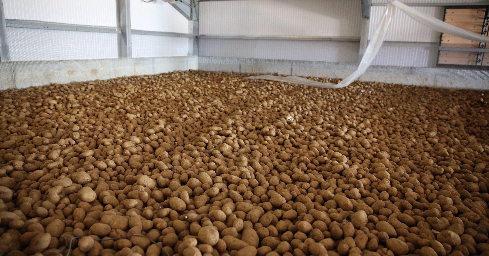 Recording critical potato storage parameters